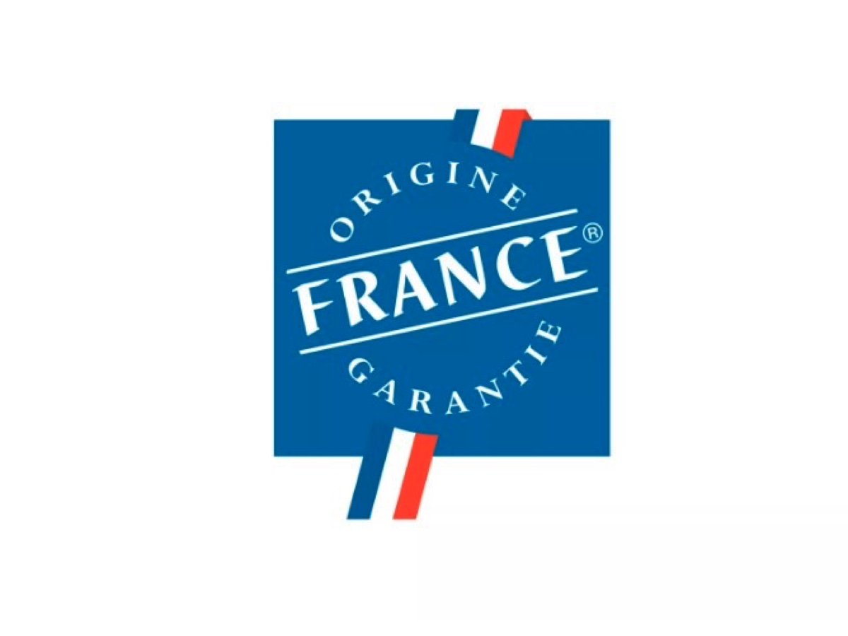 Certificazione "Origine France Garantie" per le Renault 5 e Scenic E ...